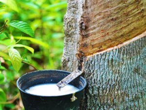 Natural Vs Synthetic Rubber: A Comparative Overview Of Properties And ...